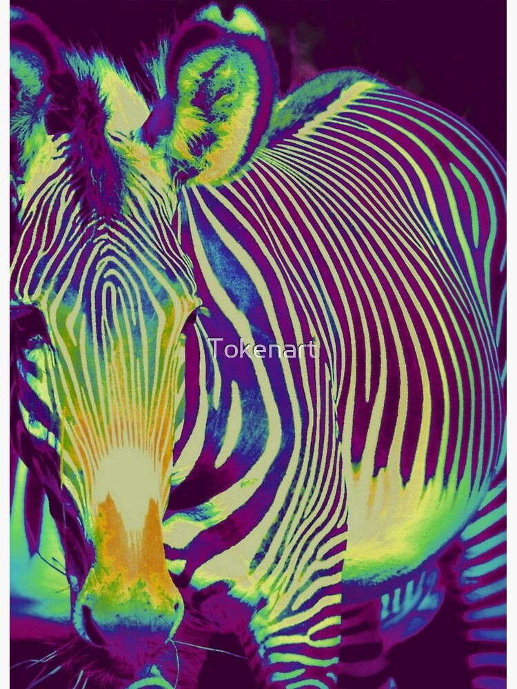 "Zebra paint splash" Photographic Print for Sale by Tokenart | Redbubble