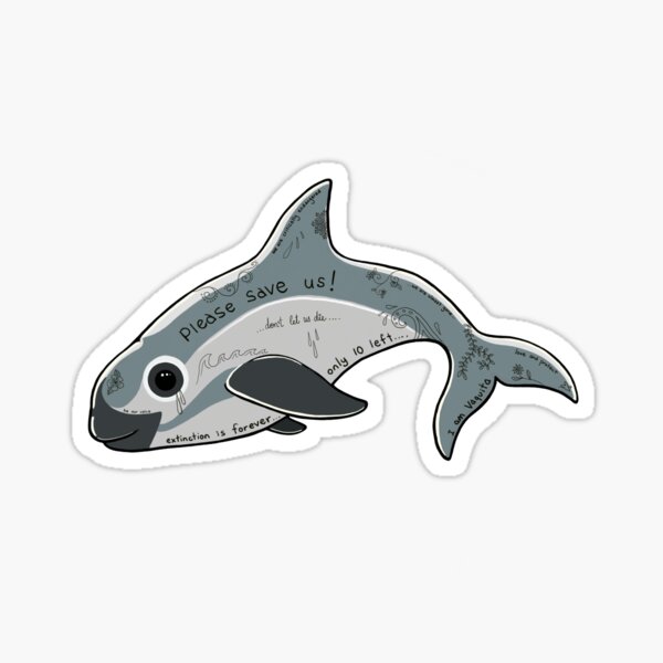 "Graffitied Vaquita" Sticker by mollypop1 | Redbubble