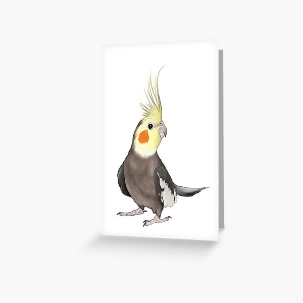 Paper Cockatiels card cute birb card birthday card animals cockatiel ...