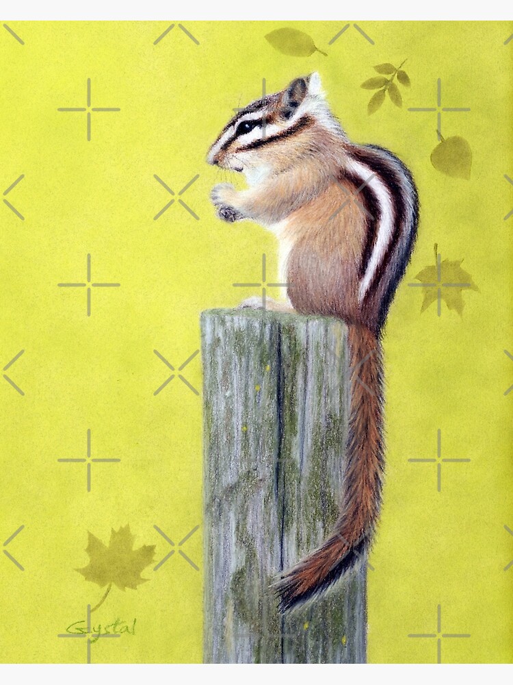"Glorious - pastel pencil drawing of a chipmunk sitting on a tree stump ...