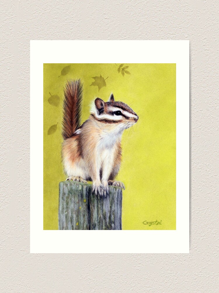 "Mindful - pastel pencil drawing of an attentive chipmunk sitting on a ...