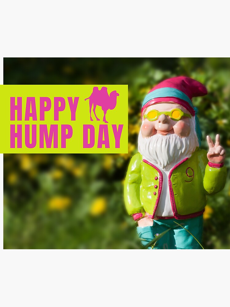 "Hump day with style!" Sticker by J-Jonny | Redbubble