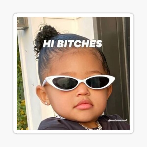 "hi bitc*es / stormi" Sticker for Sale by funtees55 | Redbubble
