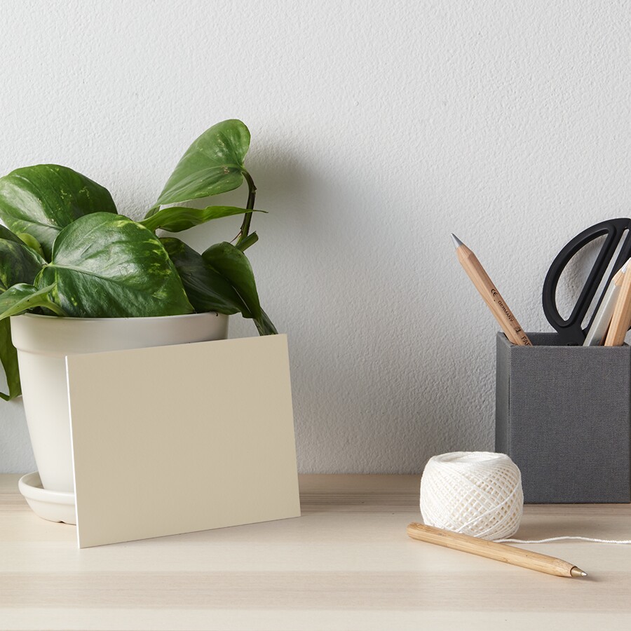 Lámina rígida «At The Shore Color sólido beige (tono de acento / tono ...