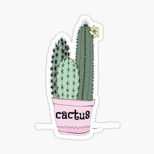 "cactus watercolour watercolor aesthetic" Sticker by AliTh7 | Redbubble