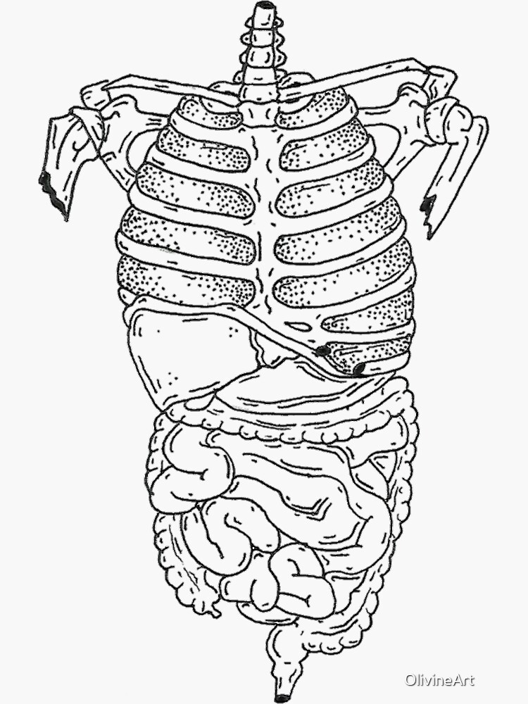 "The GI Tract" Sticker for Sale by OlivineArt | Redbubble