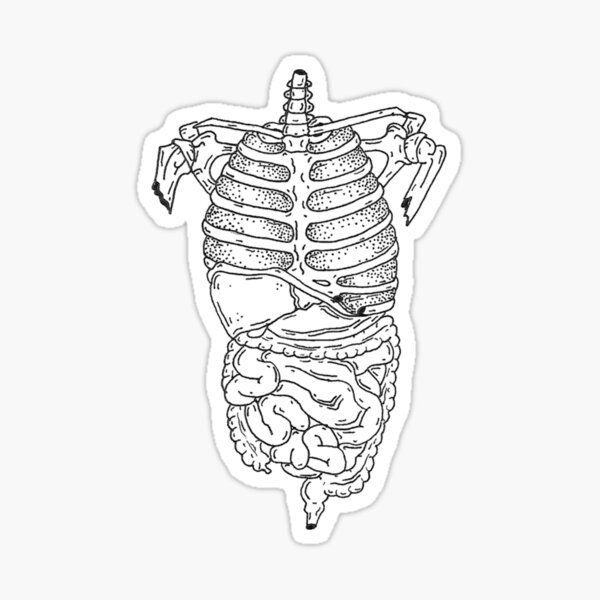 "The GI Tract" Sticker for Sale by OlivineArt | Redbubble