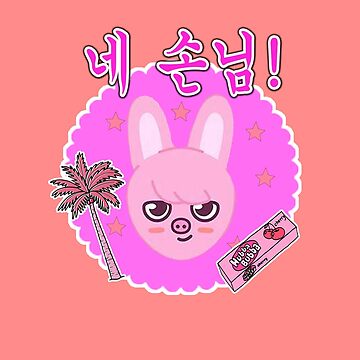 "Stray Kids SKZOO (Chanbin)" Sticker for Sale by HyunjinsSTAY | Redbubble