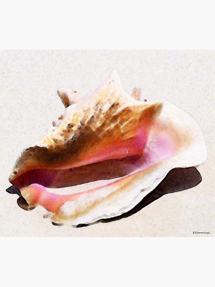"Conch Shell - Listen" Sticker for Sale by SharonCummings | Redbubble