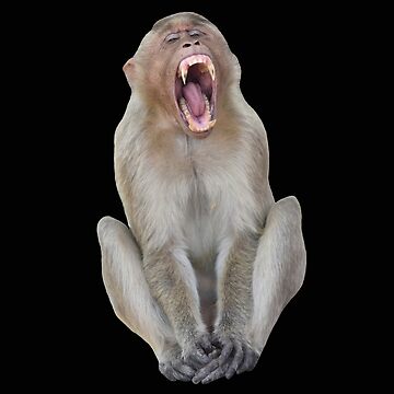 "Funny Animal Stickers: Monkey laughing" Sticker for Sale by Memiefy ...