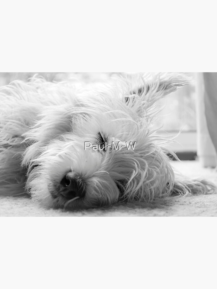 "Awww..." Sticker by Paul-M-W | Redbubble