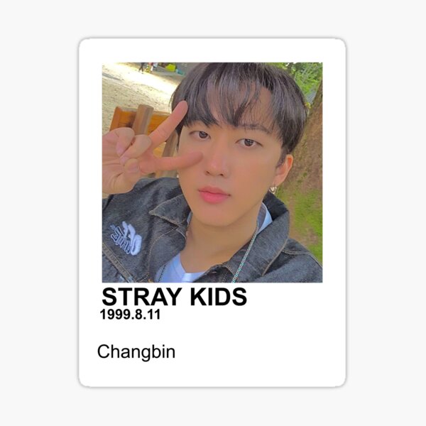 "STRAY KIDS Changbin Pantone" Sticker by SippyCup-Studio | Redbubble