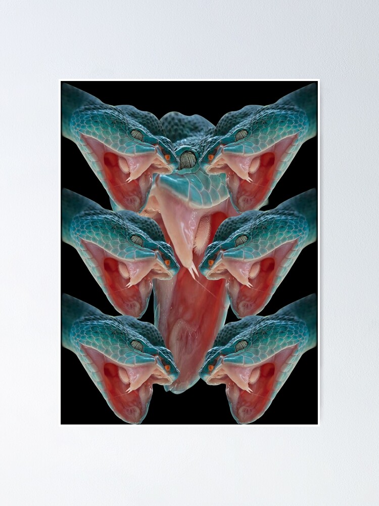 "Pit Vipers" Poster by CreatorZones | Redbubble