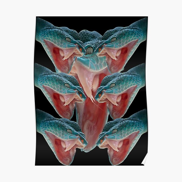 "Pit Vipers" Poster by CreatorZones | Redbubble