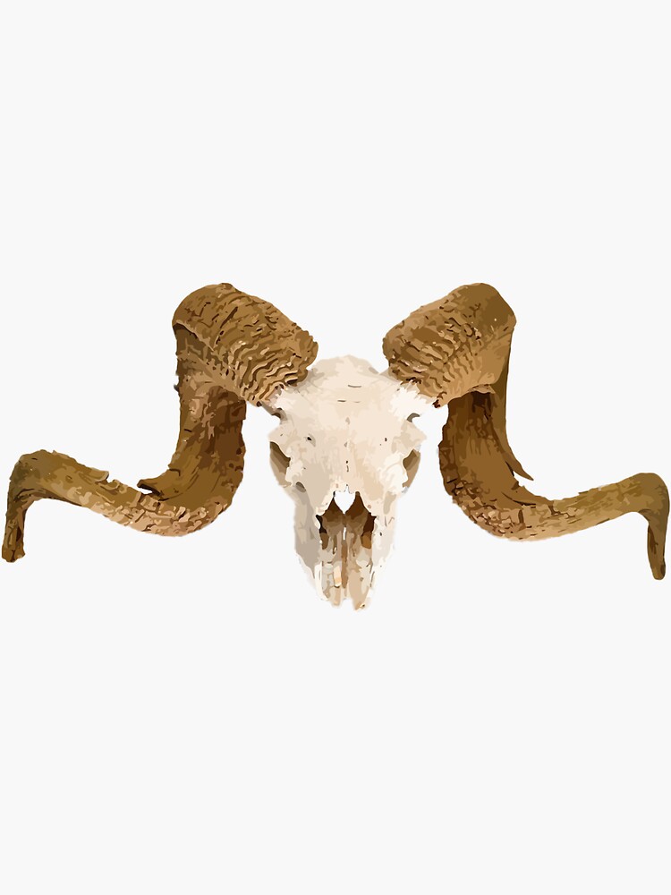 "Ram Skull Skeleton" Sticker for Sale by TerryBain | Redbubble