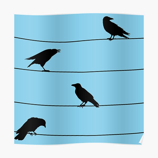 "Crows on a wire." Poster by PeachPaisleyPro | Redbubble