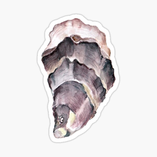 "Oyster shell" Sticker for Sale by blugrn-design | Redbubble
