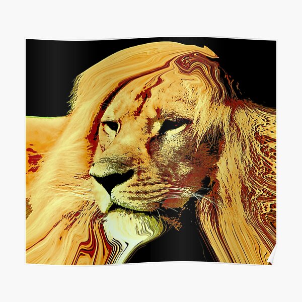 African Safari Lion Poster By Safari Dreams Redbubble