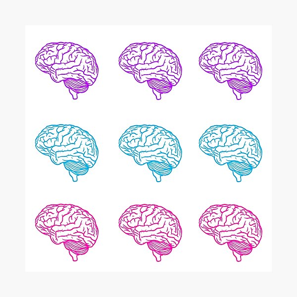 "Brains sticker pack " Photographic Print by Kim-Chi-Arts | Redbubble