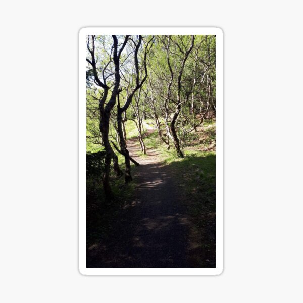 "Shadow trees " Sticker for Sale by BirnaOsp | Redbubble