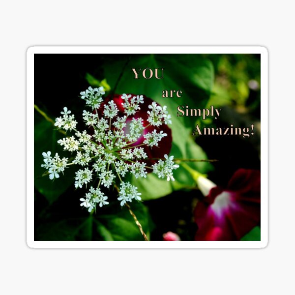 "You are Simply Amazing !" Sticker by StarZ33 | Redbubble