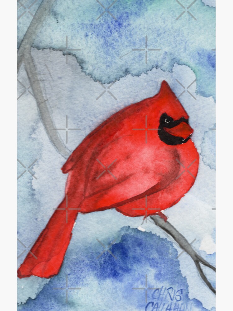 "Fierce and Fiery Red Cardinal" Sticker for Sale by MeadowView | Redbubble