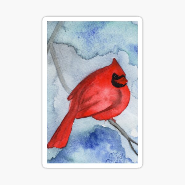 "Fierce and Fiery Red Cardinal" Sticker for Sale by MeadowView | Redbubble