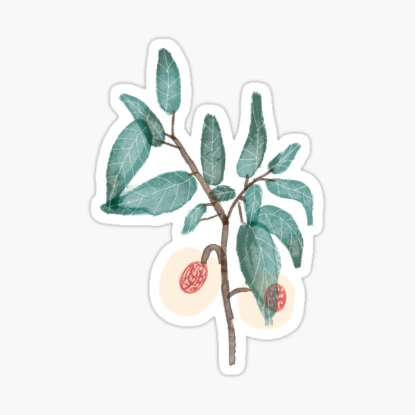 "Botanical art tree branch sticker" Sticker for Sale by Jungee | Redbubble