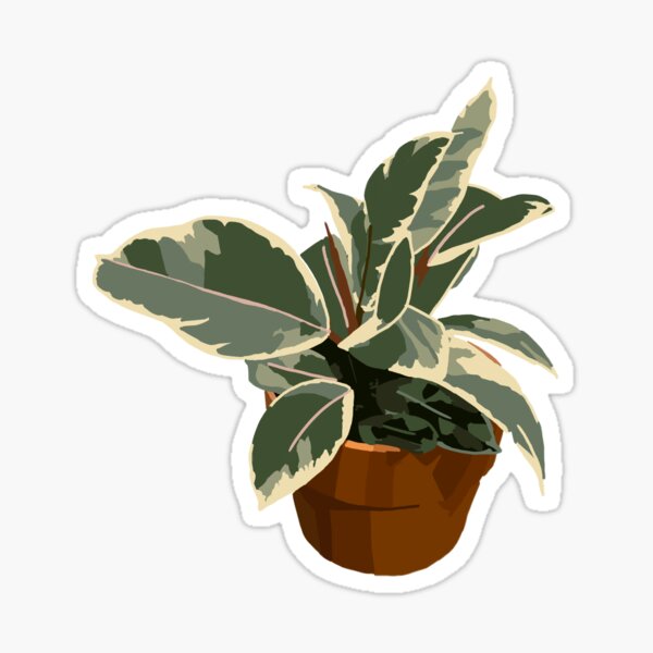 "Rubber Tree" Sticker by Simp1yArt | Redbubble