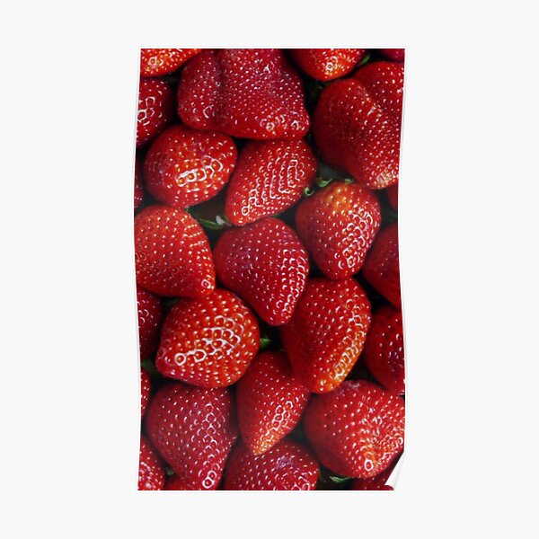 "Strawberry fruit, Fresa, Frutilla, Fragaria, Qué delicia!" Poster by ...