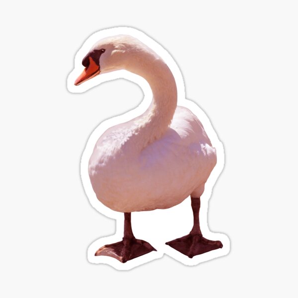 "Swan" Sticker for Sale by jozefbloks | Redbubble