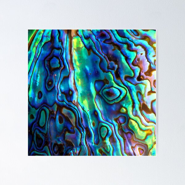 "New Zealand Paua Shell - Kiwi Design Kiwiana Māori " Poster for Sale ...