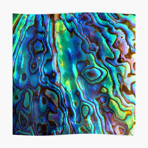 "New Zealand Paua Shell - Kiwi Design Kiwiana Maori" Poster for Sale by ...