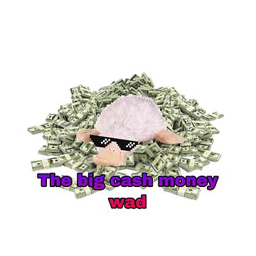 "Webkinz waddles big cash money wad meme" Sticker for Sale by ...