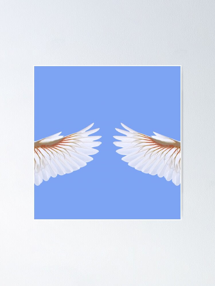 "Wing Wing" Poster by TJBest | Redbubble