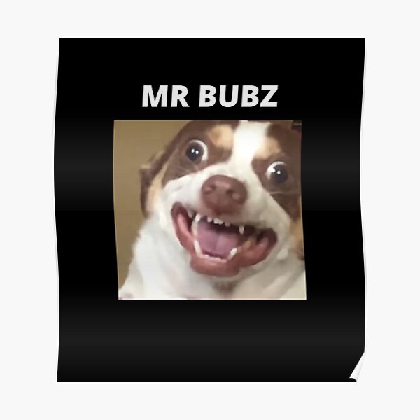 "Mr Bubz meme" Poster by boutique0 | Redbubble