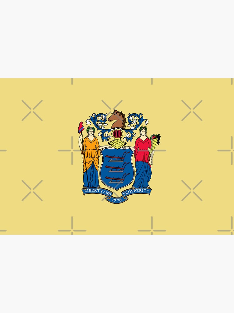"New Jersey Flag" Sticker for Sale by states | Redbubble