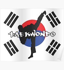 Taekwondo Posters | Redbubble