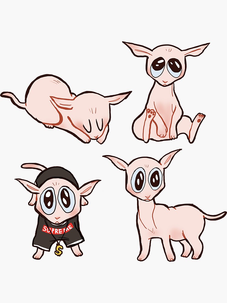 "Bingus" Sticker for Sale by glitchhoppp | Redbubble