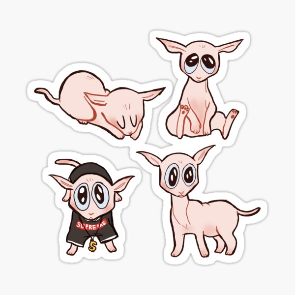 "Bingus" Sticker for Sale by glitchhoppp | Redbubble