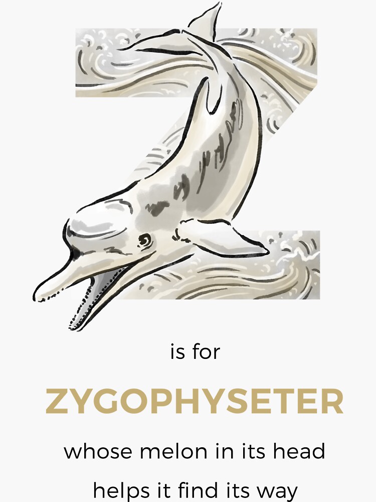 "Z is for Zygophyseter" Sticker for Sale by franzanth | Redbubble