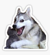 Meme: Stickers | Redbubble