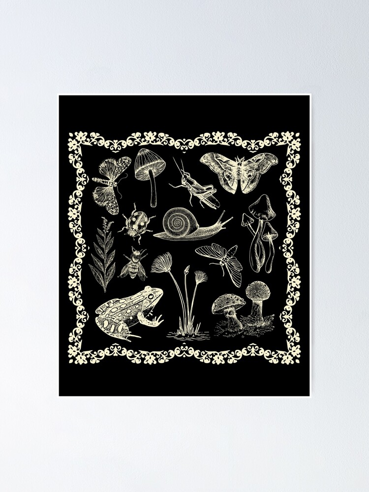 "Cottagecore Aesthetic Frog and Mushroom Goblincore" Poster for Sale by ...