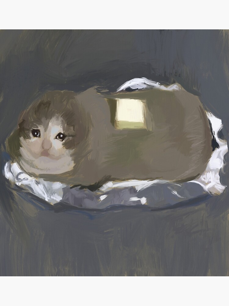 "Crying Butter Cat Meme " Art Print by Sergiarts | Redbubble