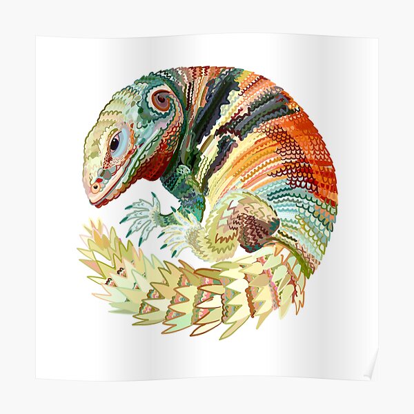 "Orange banded Uromastyx " Poster for Sale by TULLYfur6 | Redbubble