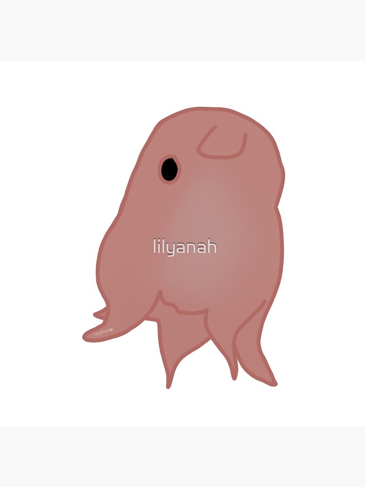 "dumbo octopus" Poster by lilyanah | Redbubble