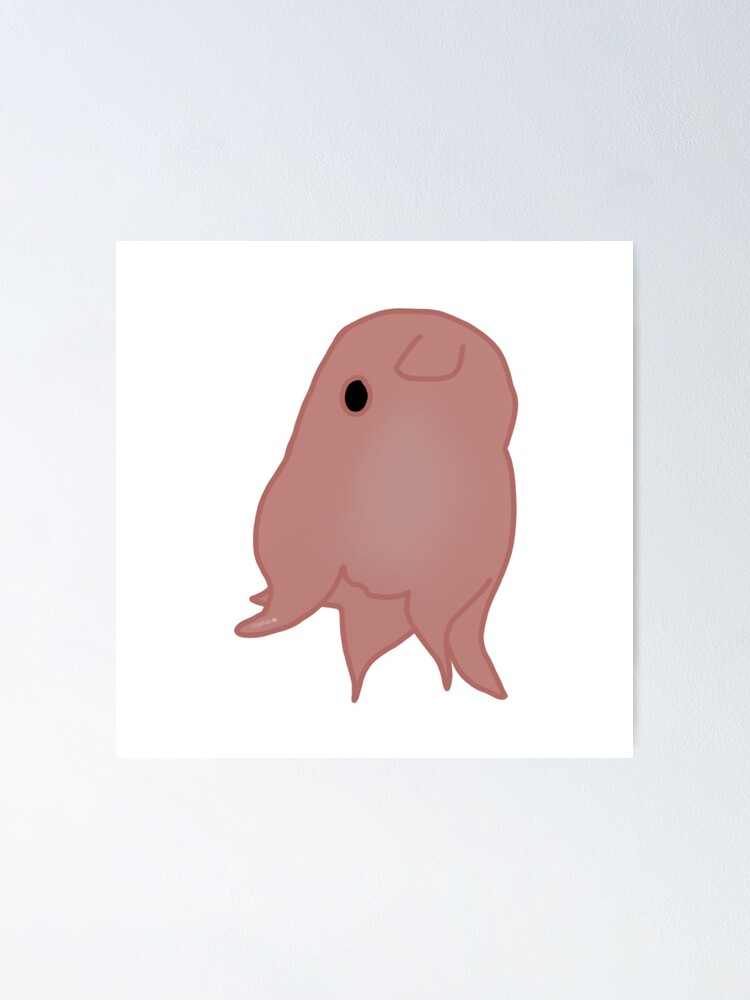 "dumbo octopus" Poster by lilyanah | Redbubble
