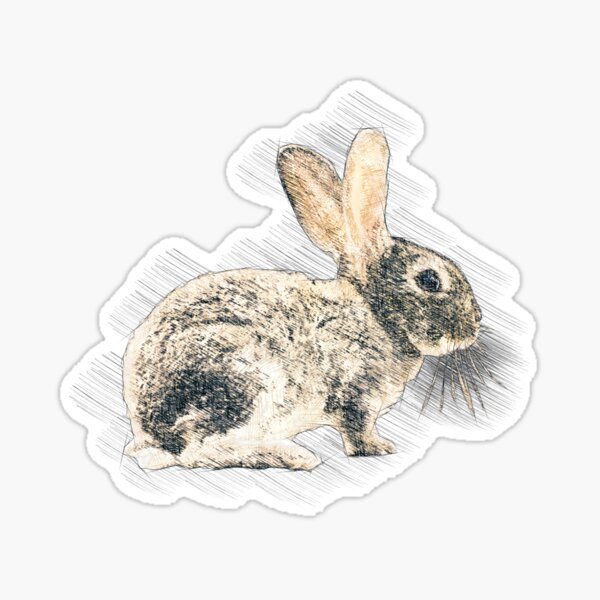 "Vintage Retro Cute Rustic Bunny" Sticker by magicbyrc | Redbubble