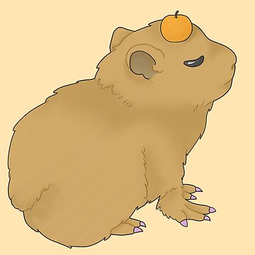 "Capybara" Sticker for Sale by transfixt | Redbubble
