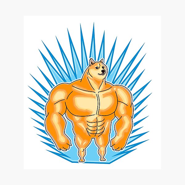 "Buff doge meme" Photographic Print for Sale by Kikako234 | Redbubble